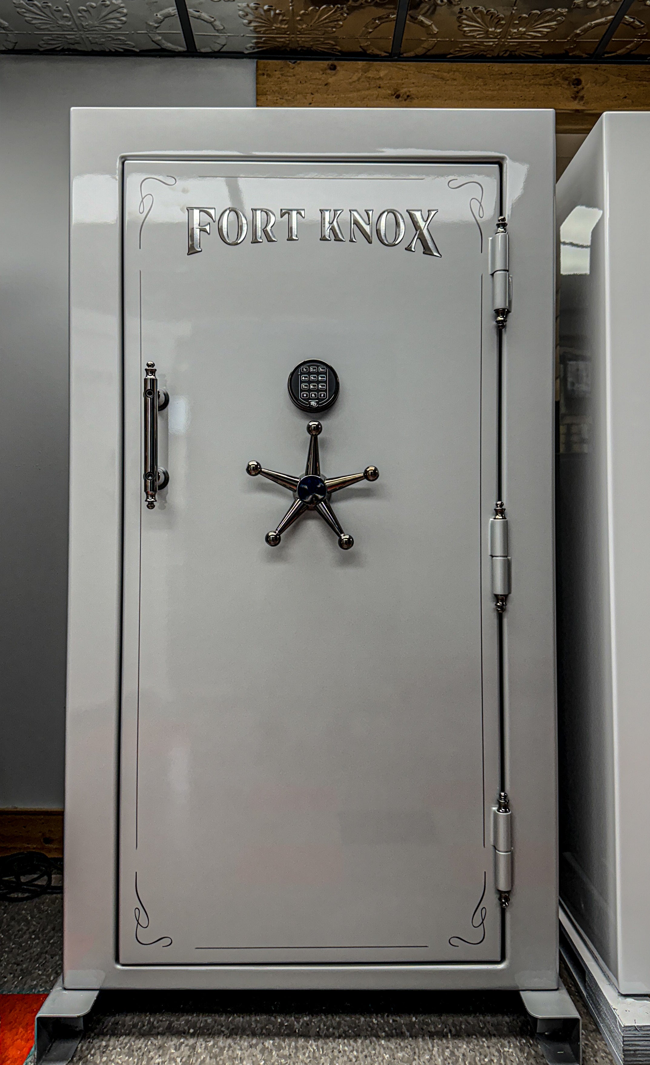 Fort Knox Protector 6637• Platinum Silver-SOLD RESTOCKING 6-8 WEEKS ...